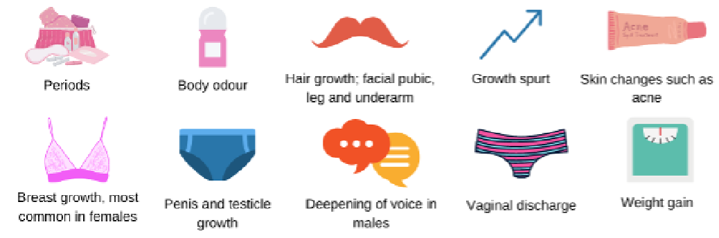 Sexual Health St Helens | parents puberty